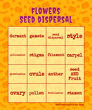 flowers Seed dispersal Bingo