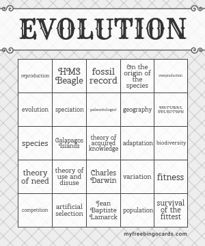 EVOLUTION BINGO