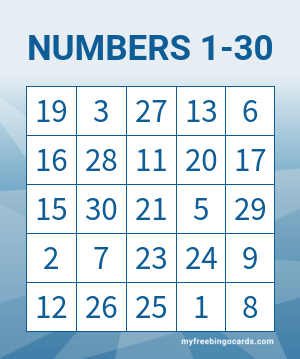NUMBERS 1-30 BINGO