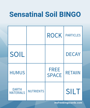 Print 100+ Sensatinal Soil BINGO Cards