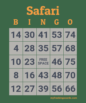 Safari BINGO