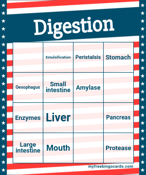 Digestion Bingo