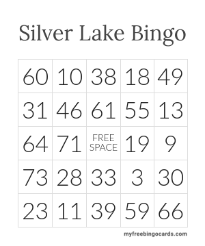 Silver Lake Bingo
