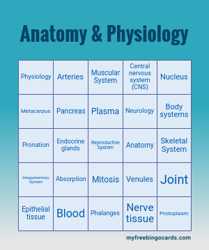 Anatomy & Physiology Bingo