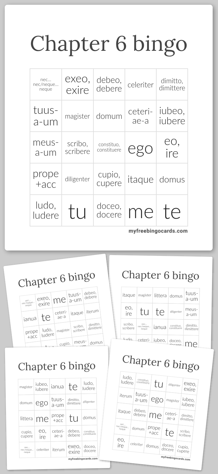 Virtual Chapter 6 bingo