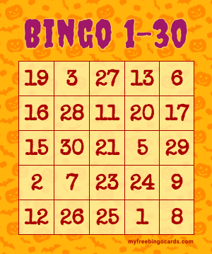 Bingo 1-30