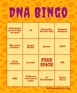 DNA Bingo