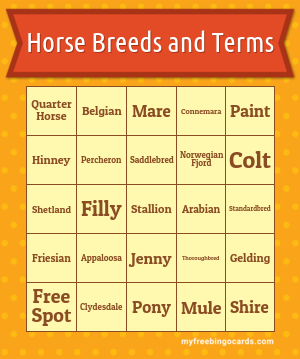 Horse Breeds and Terms Bingo