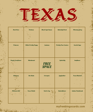 TEXAS BINGO