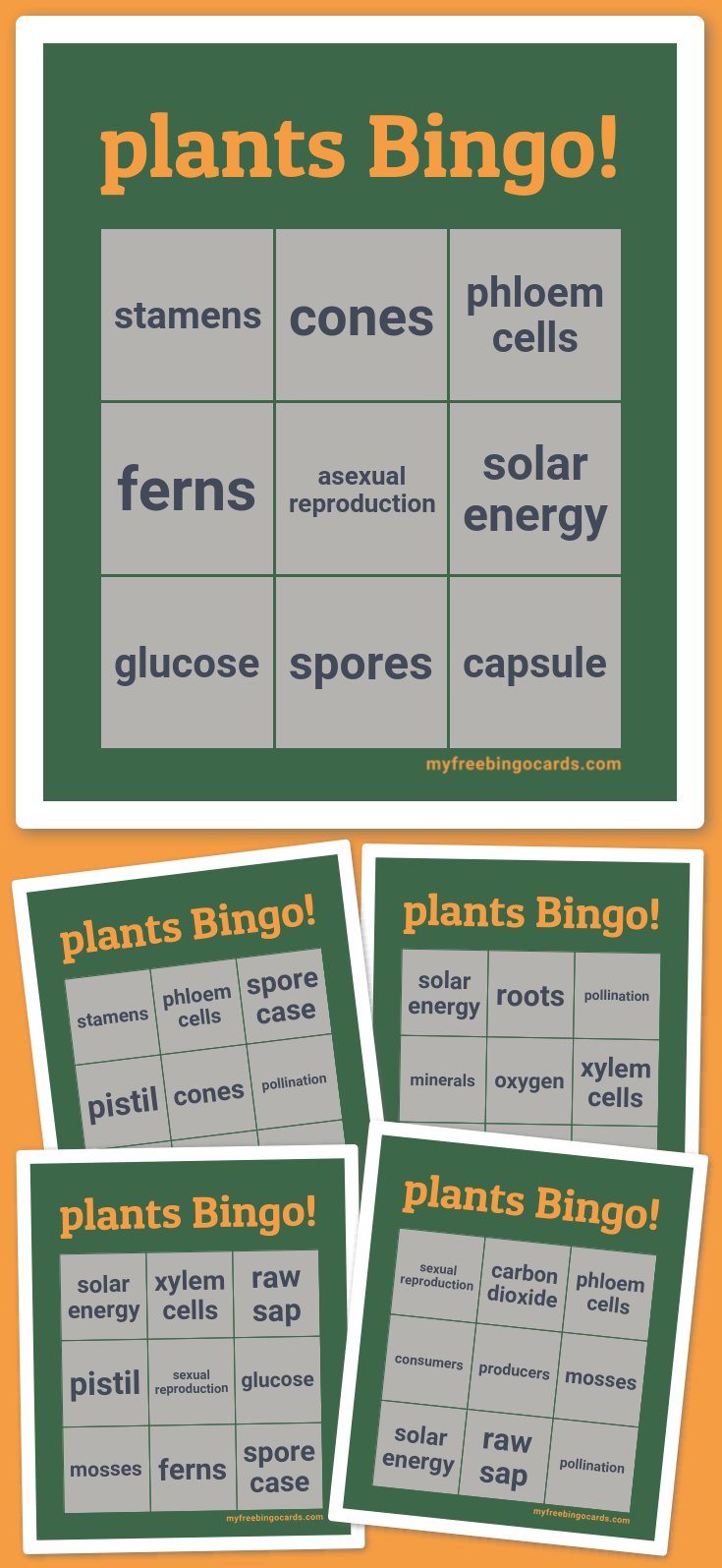Virtual plants Bingo!