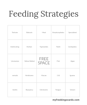 Feeding Strategies Bingo
