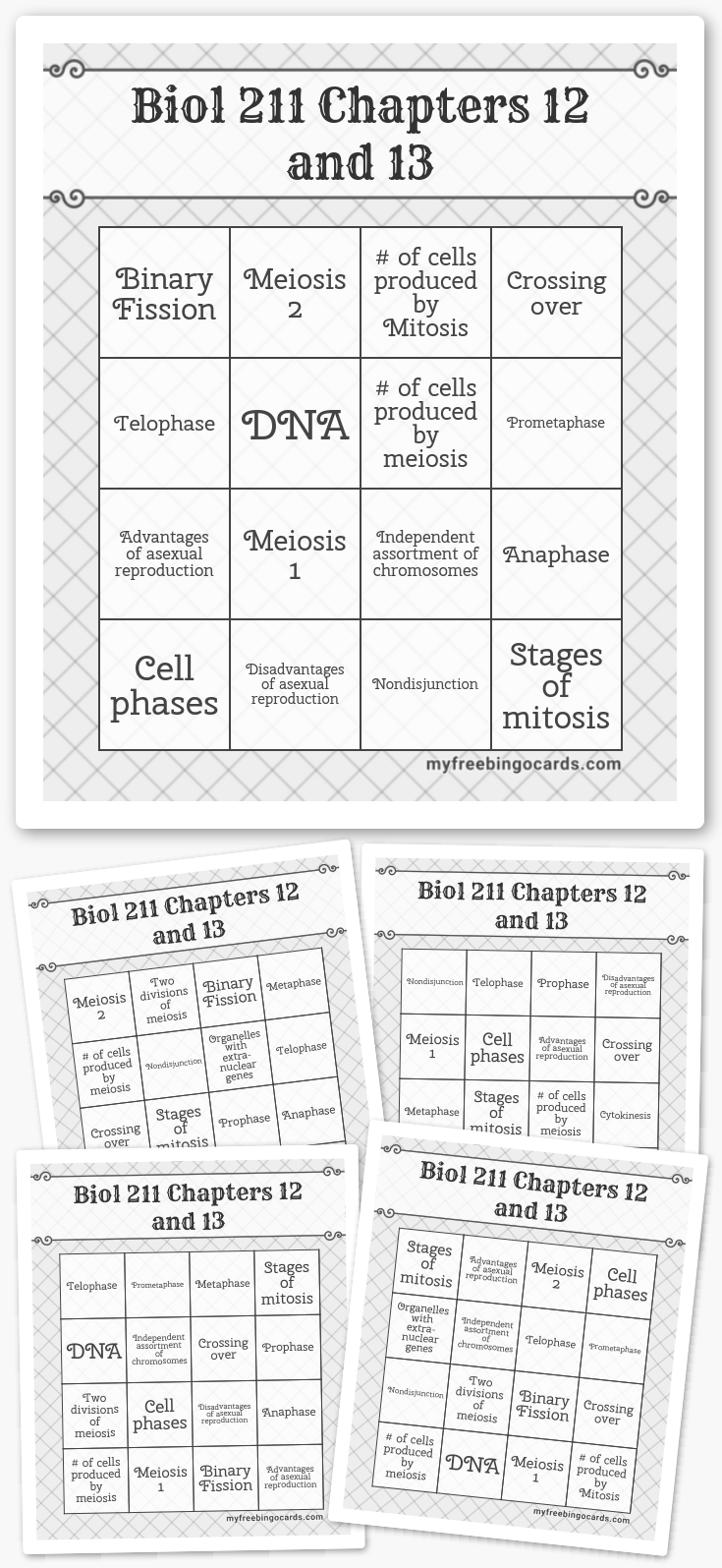 Virtual Biol 211 Chapters 12 and 13 Bingo