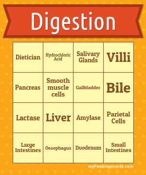 Digestion Bingo