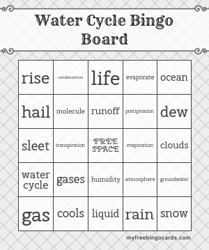 Print 100+ Water Cycle Bingo Board Cards