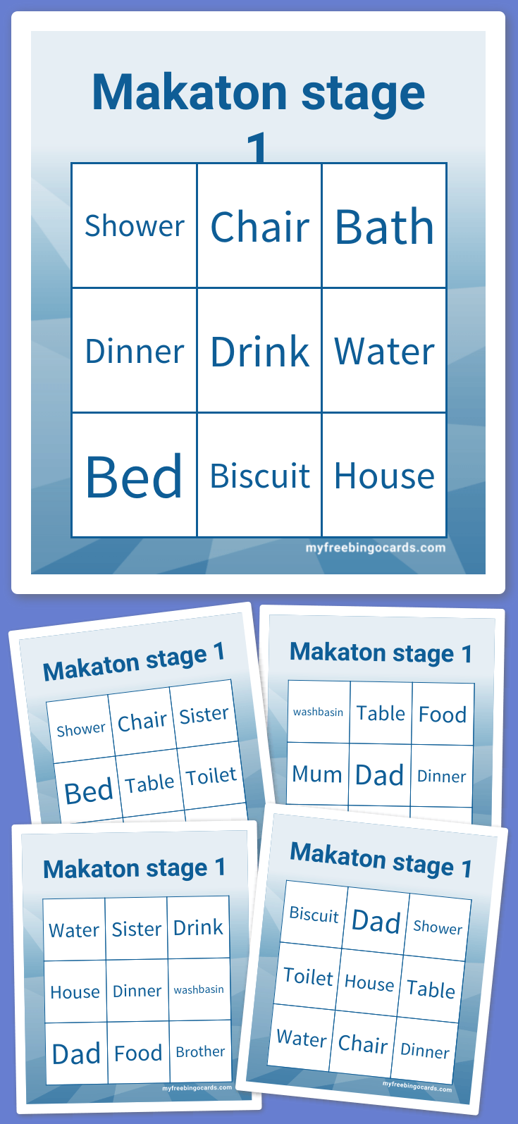 Virtual Makaton stage 1 Bingo