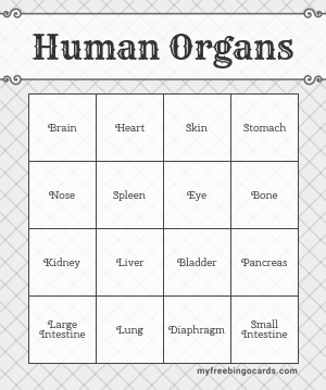 Human Organs Bingo