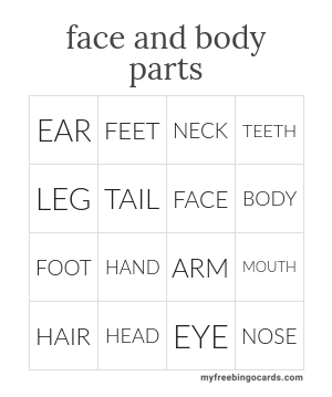 face and body parts bingo