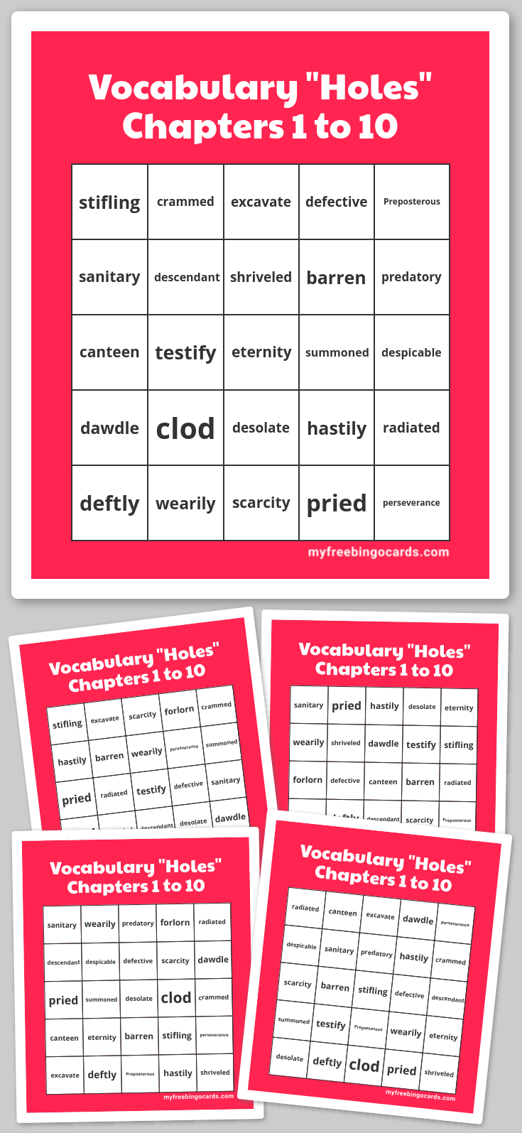 Virtual Vocabulary "Holes" Chapters 1 to 10 Bingo