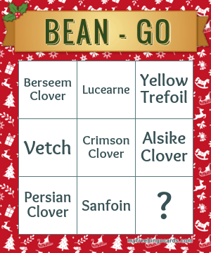 BEAN - GO BINGO