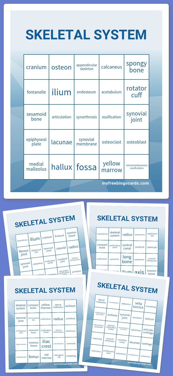 Virtual SKELETAL SYSTEM BINGO
