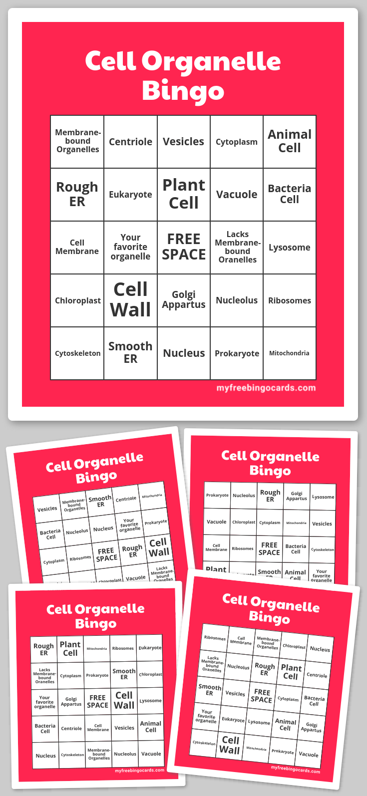 Virtual Cell Organelle Bingo