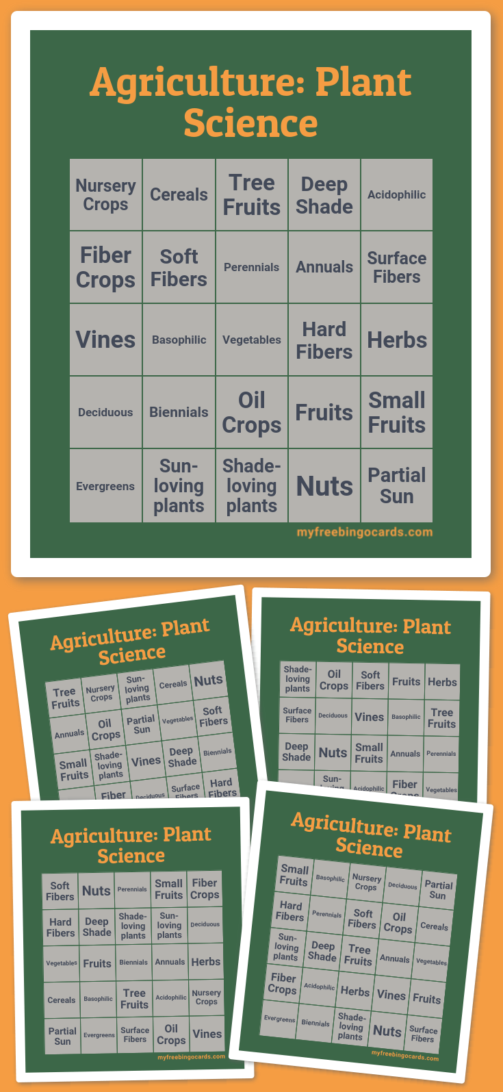 Virtual Agriculture: Plant Science Bingo