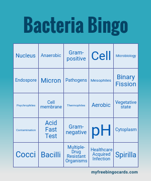 Bacteria Bingo