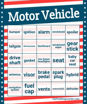 Motor Vehicle Bingo