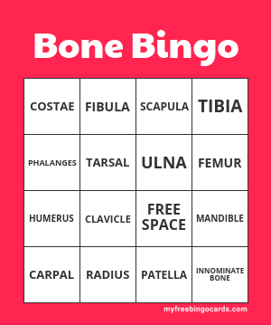 Bone Bingo