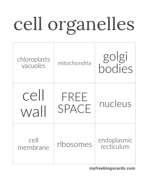 cell organelles bingo