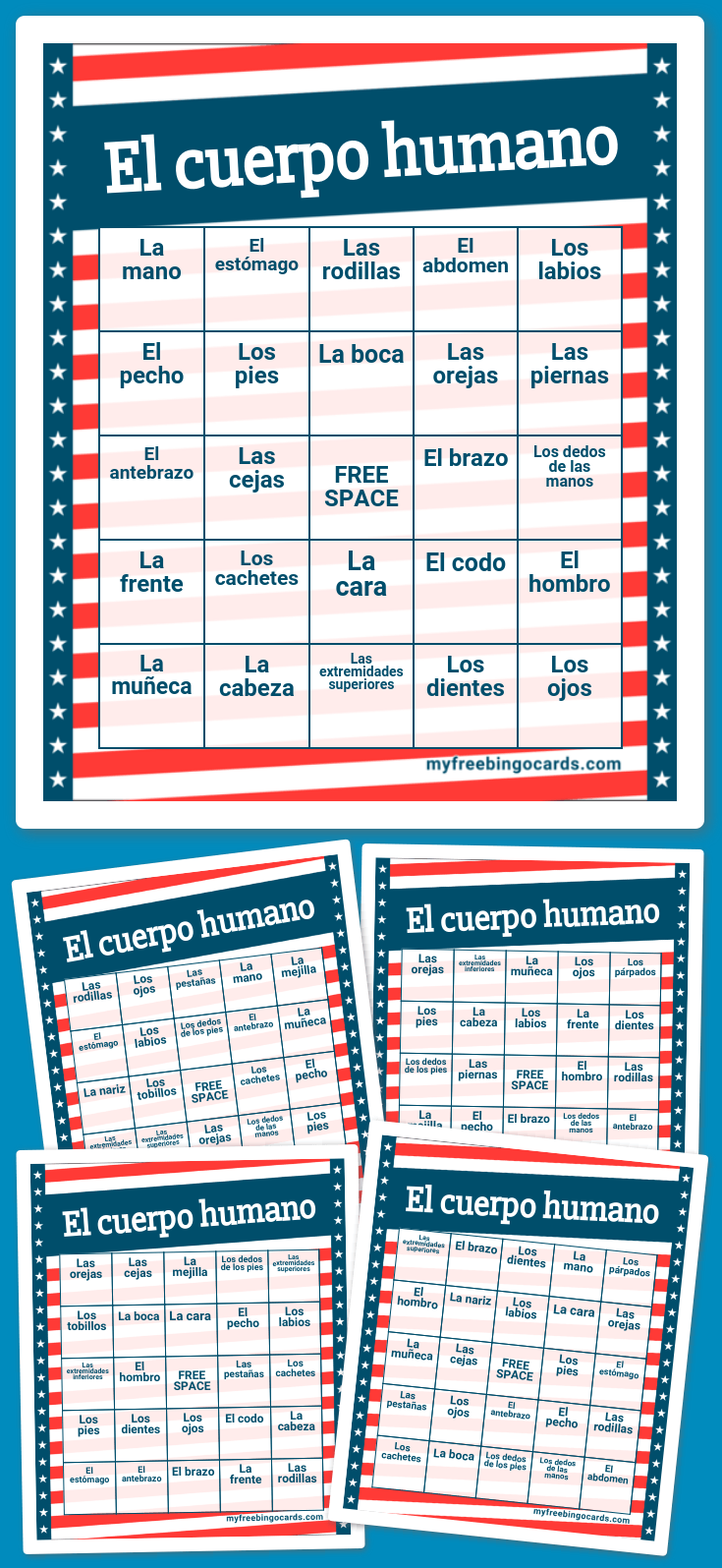 Virtual El cuerpo humano Bingo