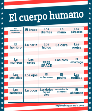 El cuerpo humano Bingo