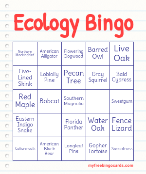 Ecology Bingo