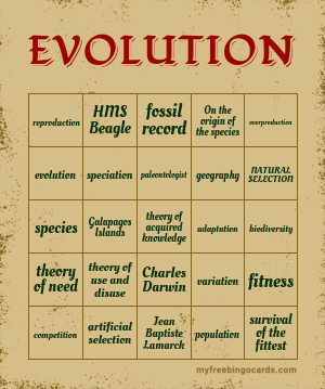 EVOLUTION BINGO