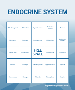 ENDOCRINE SYSTEM BINGO