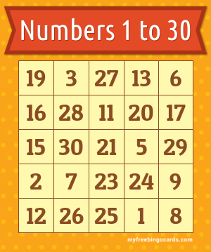Numbers 1 to 30 Bingo