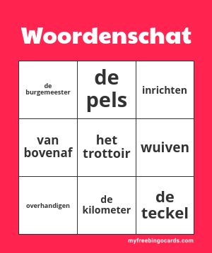 Woordenschat Bingo