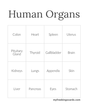 Human Organs Bingo