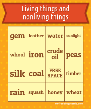 Living things and nonliving things Bingo
