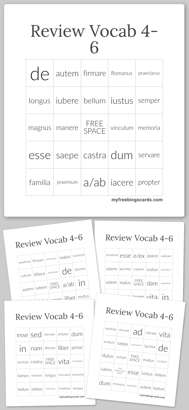 Virtual Review Vocab 4-6 Bingo