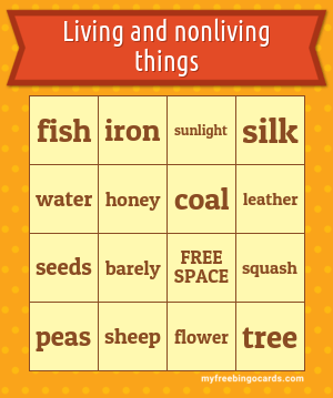Living and nonliving things Bingo