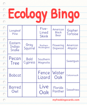 Ecology Bingo