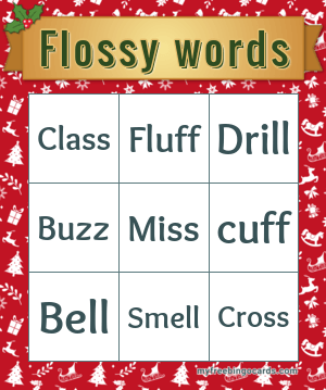 Flossy words Bingo