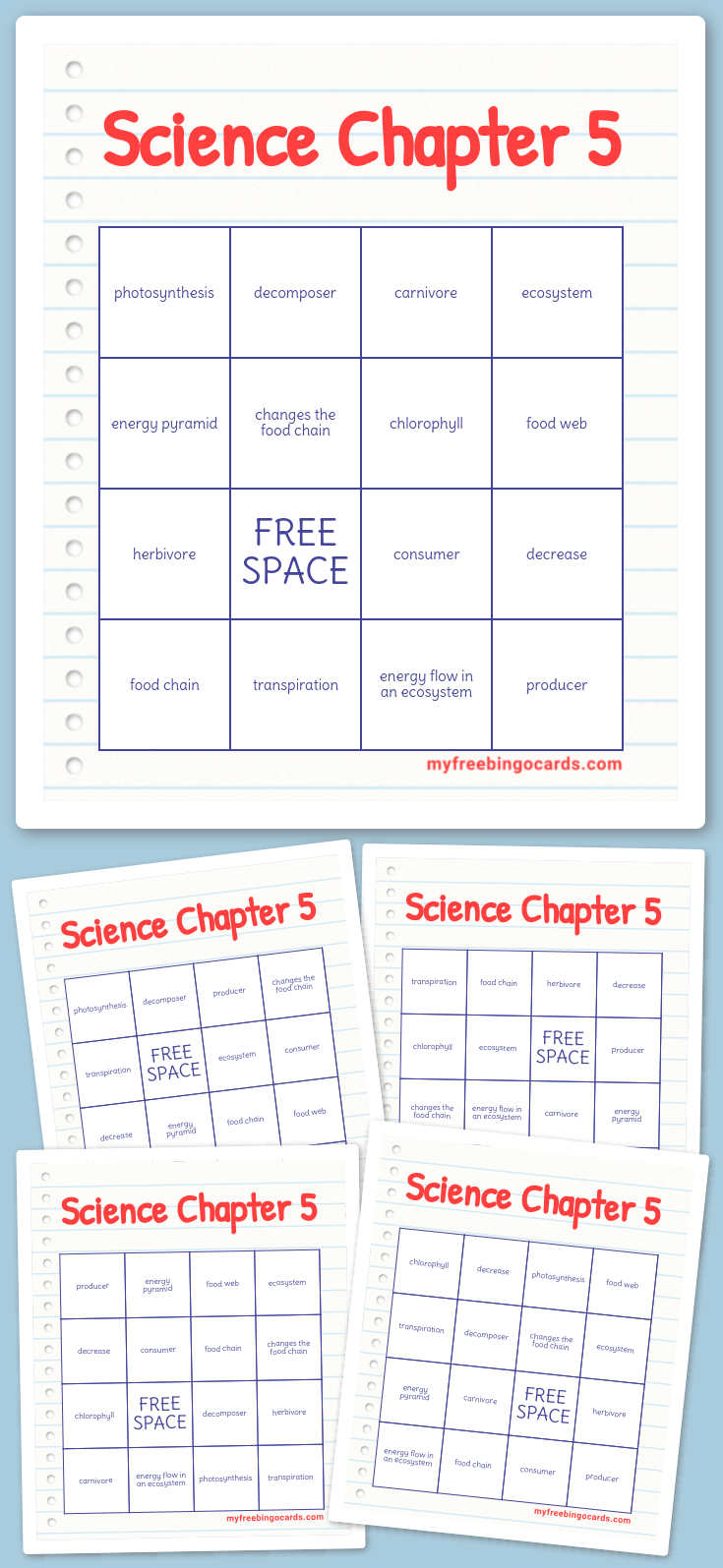 Virtual Science Chapter 5 Bingo
