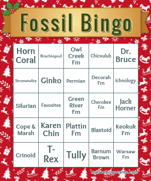Fossil Bingo