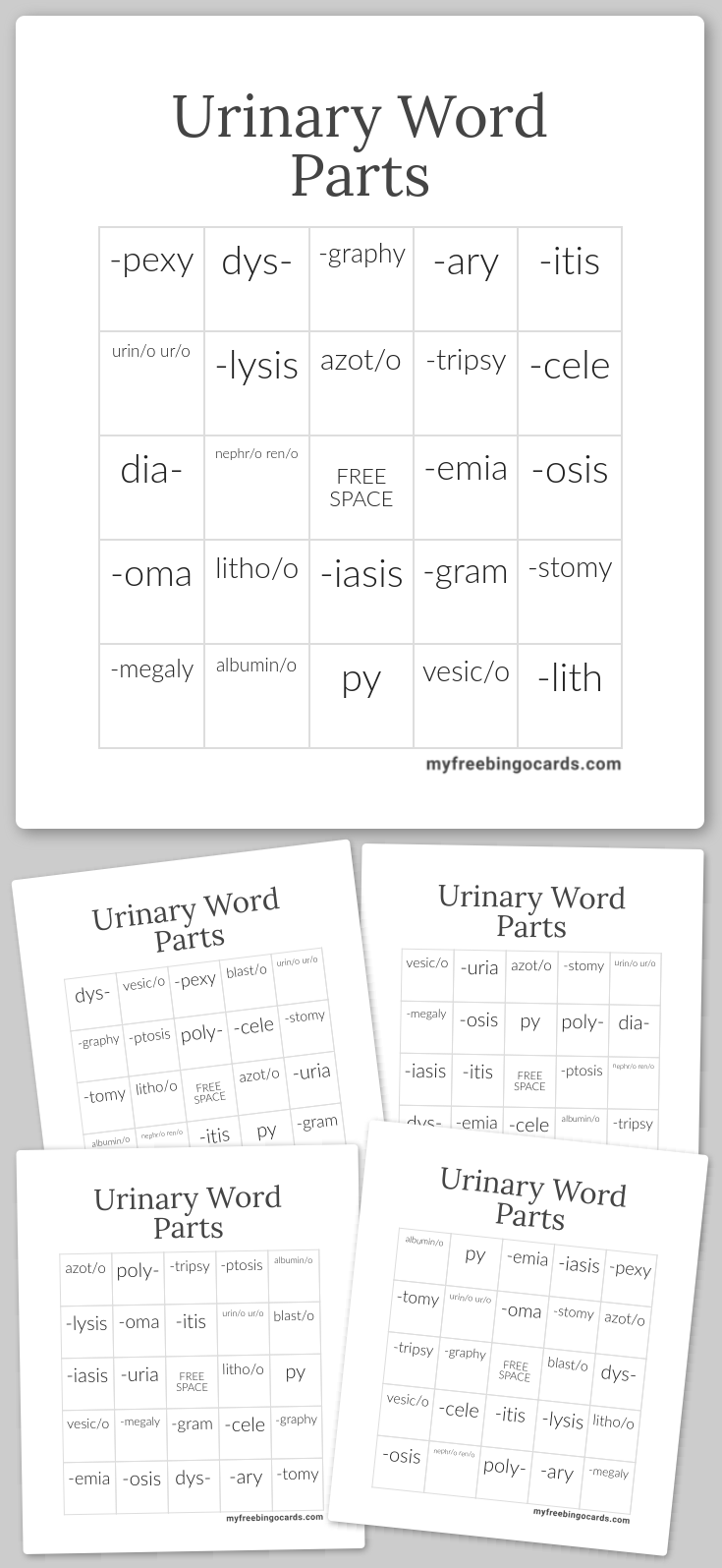 Virtual Urinary Word Parts Bingo