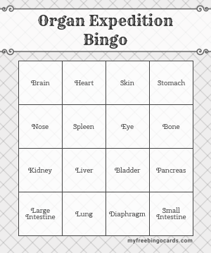 Organ Expedition Bingo