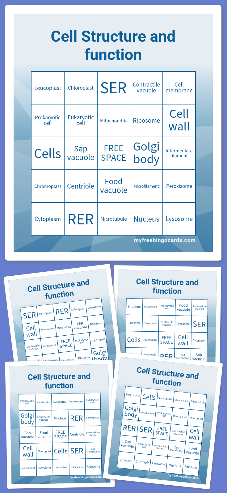 Virtual Cell Structure and function Bingo