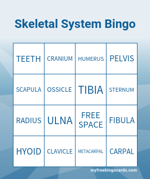 Skeletal System Bingo