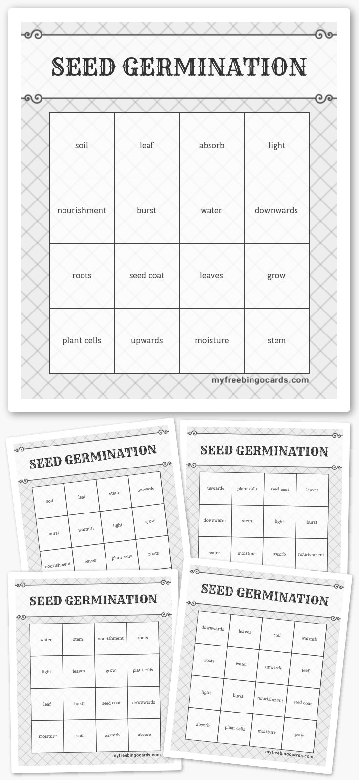 Virtual SEED GERMINATION BINGO